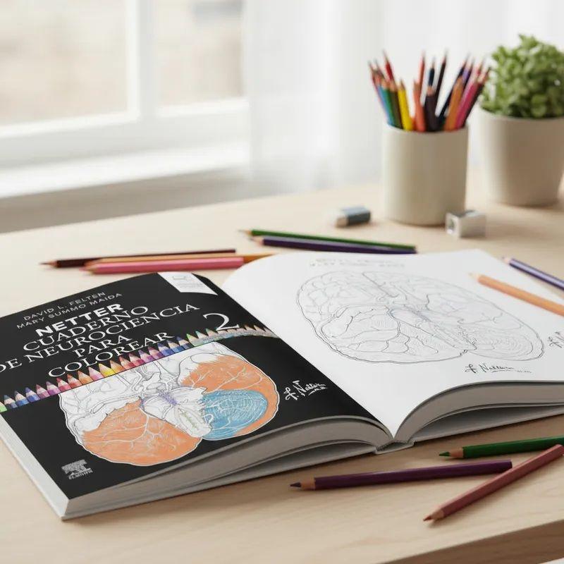 Netter. Cuaderno de neurociencia para colorear 2ed. Editorial Elsevier ...