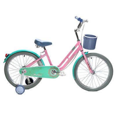Mundo Online Bicicleta Infantil Aro 20 Paseo Con Rueditas Y