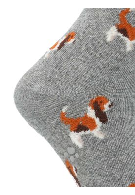 Hush Puppies Calcetín Algodón Niño C Bassets Gris