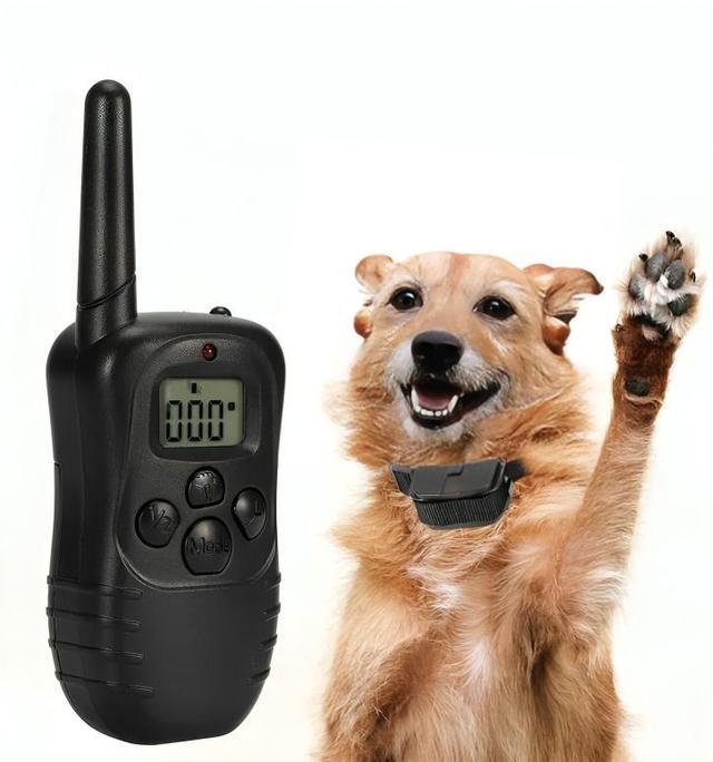 Set Collar Eléctrico Entrenamiento Para Adiestramiento Perro Joki ...